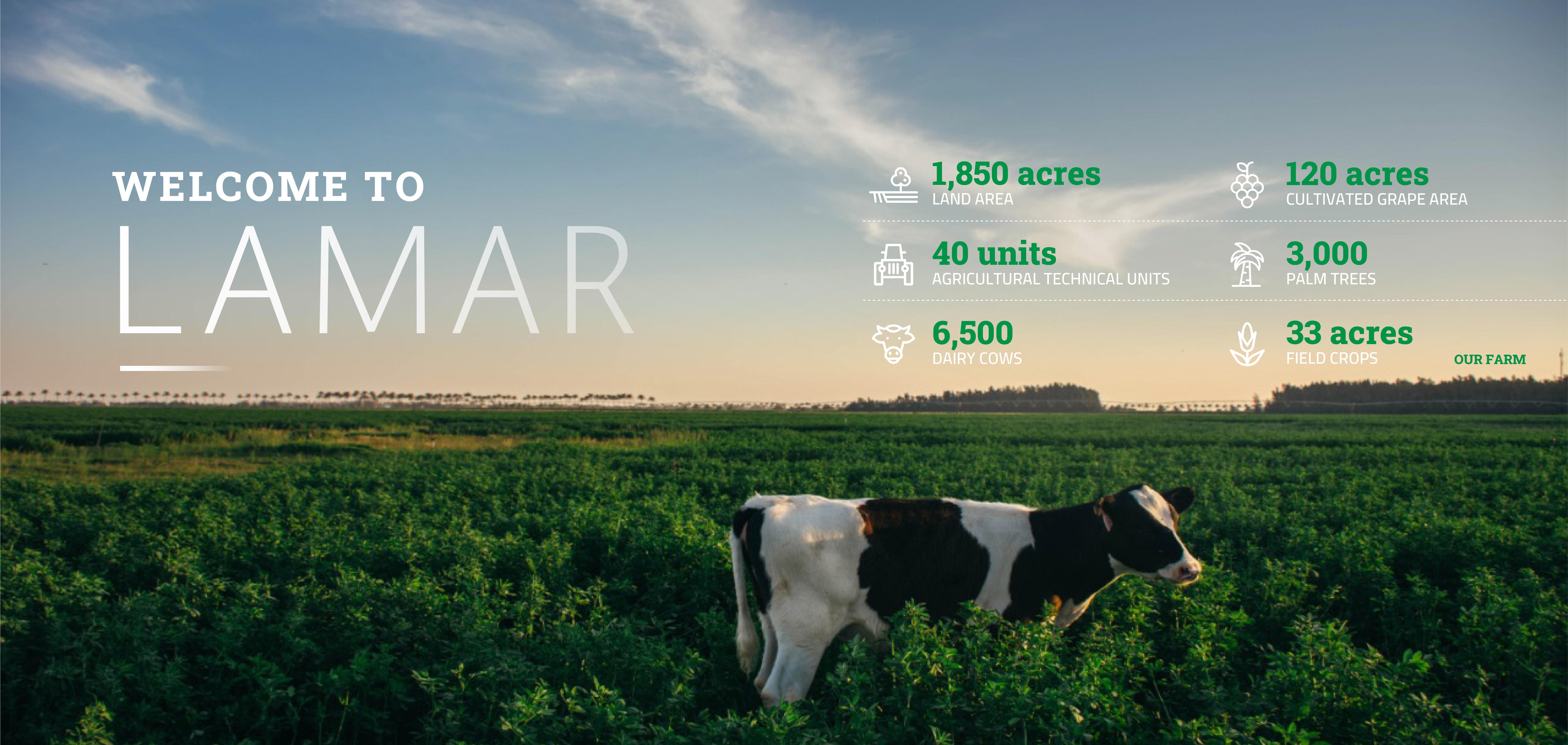 Lamar Egypt | Home Page